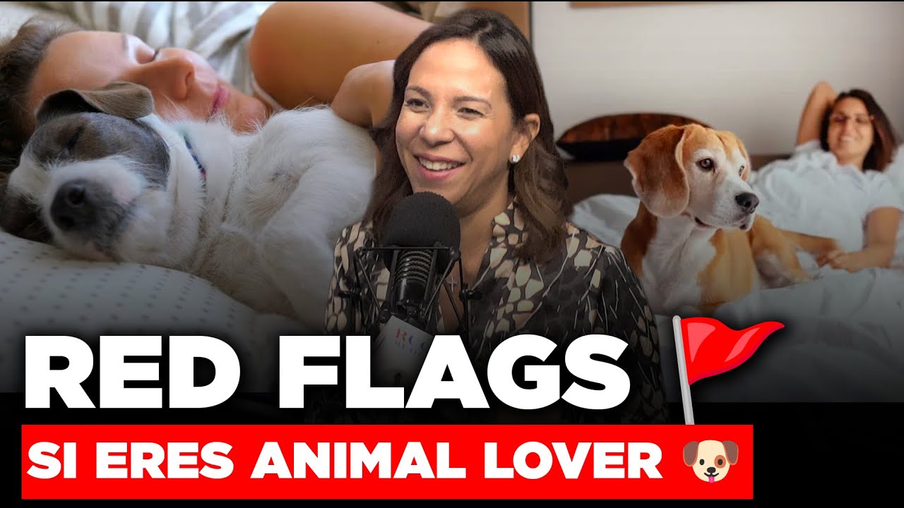 Red Flags en el amor cuando eres animal lover 🐶🚩¿Te tocaron? - Vilma Gomez - YouTube