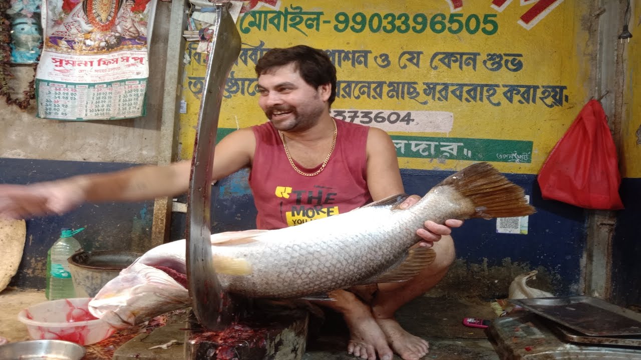 Bhetki fish cutting|Bhetki fish cutting skills|Bhetki fish Cutting ...
