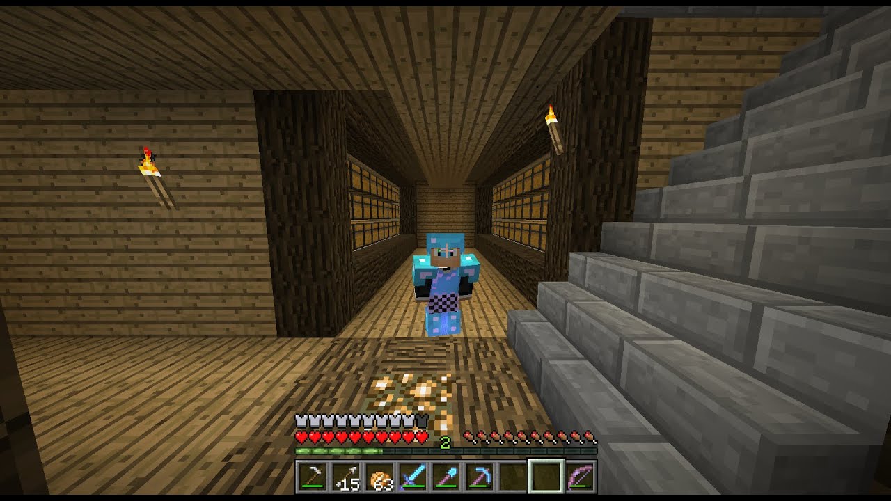 Freedom SMP: Episode 8 - Chest Room ! - YouTube