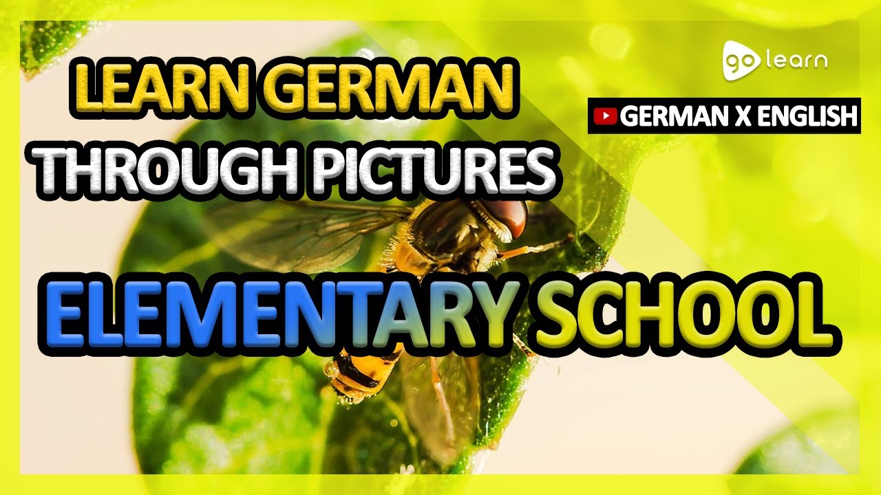 Learn German Through Pictures |German Vocabulary Elementary School ...