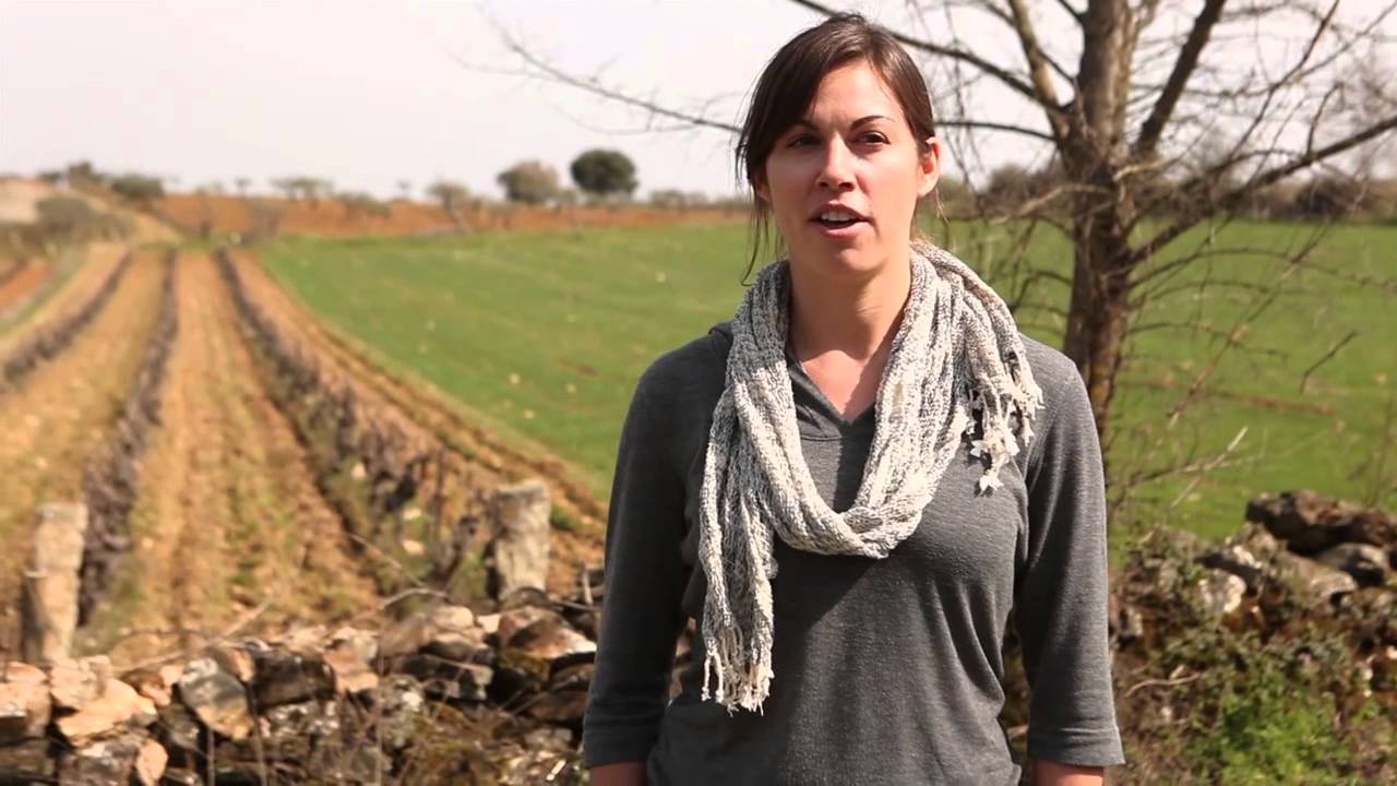 Bliss Wine Imports - How Do We Find Vineyards in Portugal? - YouTube