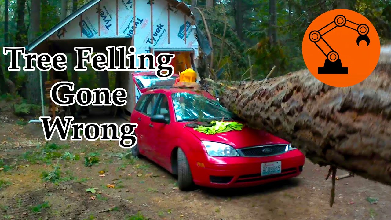 Tree Felling Gone Wrong - YouTube