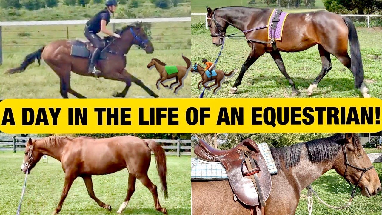 EQUESTRIAN DAY IN THE LIFE! - YouTube