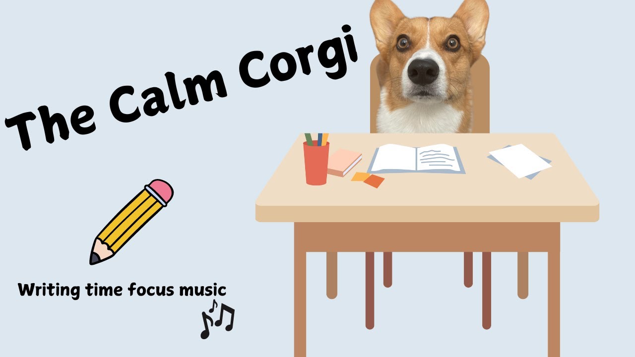 The Calm Corgi - focus screen for classroom - YouTube