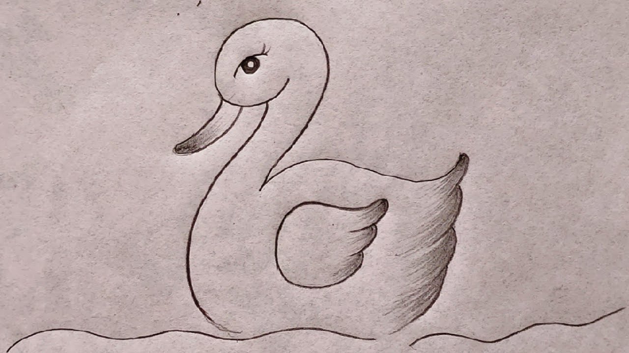 How to draw a swan || easy step by step || swan drawing tutorial ...