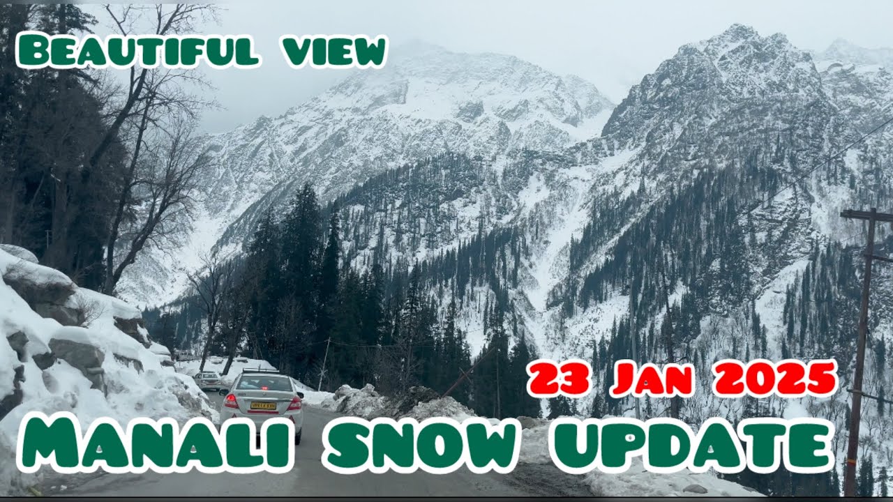 Manali snow fall update // beautiful view // 23 Jan 2025 // live snow ...
