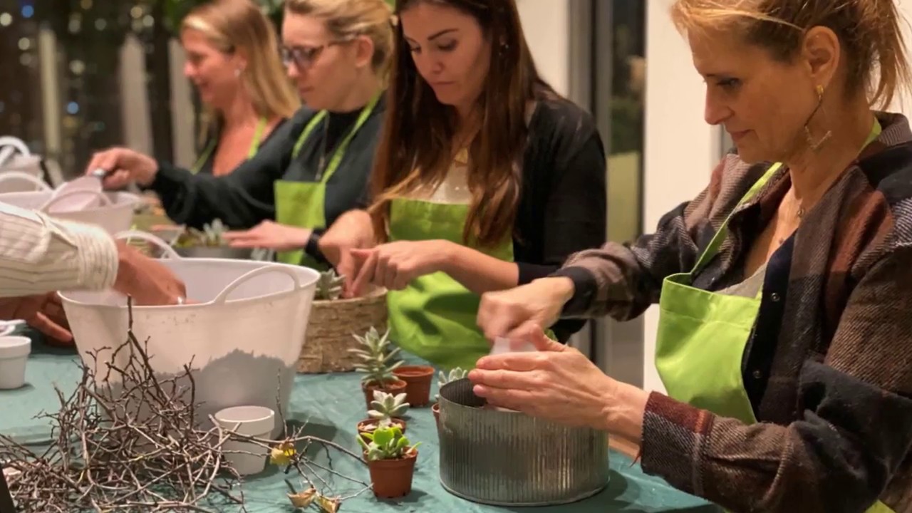 Succulent Potting Classes at State & Chestnut - YouTube