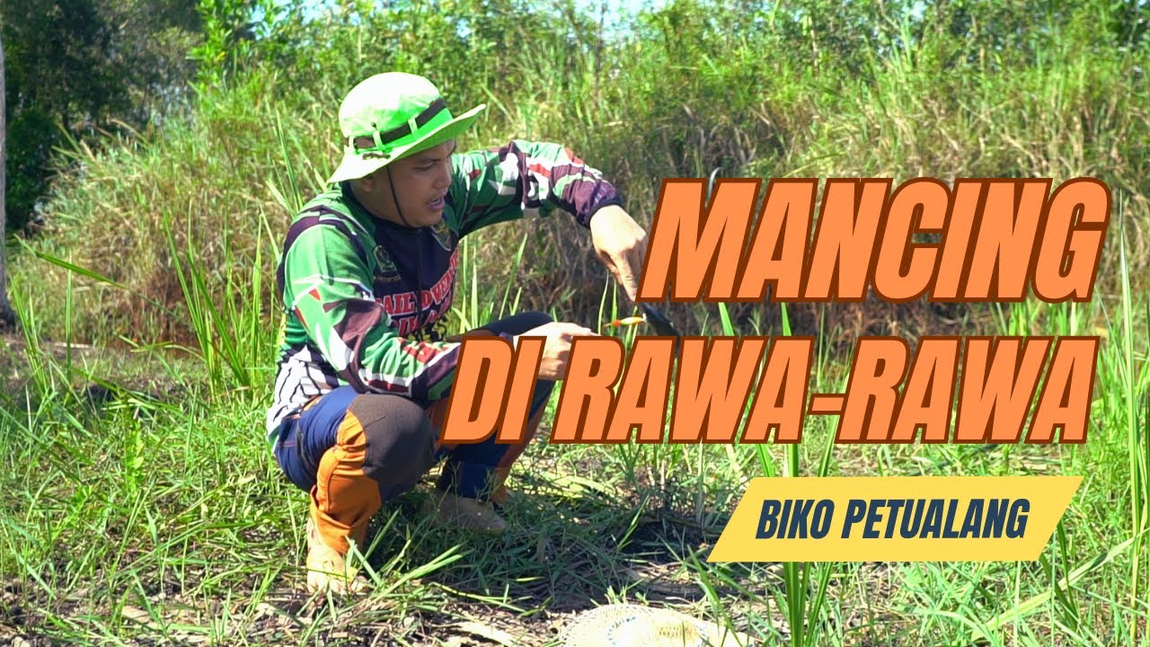 MANCING IKAN DI RAWA DAPAT LELE, GABUS DAN BELUT BERMODALKAN CACING ...