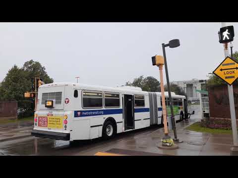 New flyer D60 Bus - YouTube