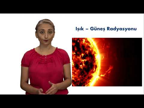 EKOLOJİ VE ÇEVRE BİLGİSİ - Ünite2 - Özet