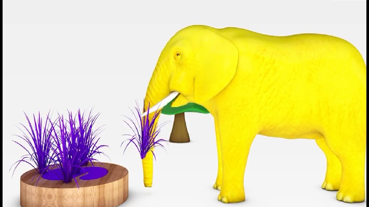 Learn Colors with Animals for Kids Spell Grass Elephant Video For ...