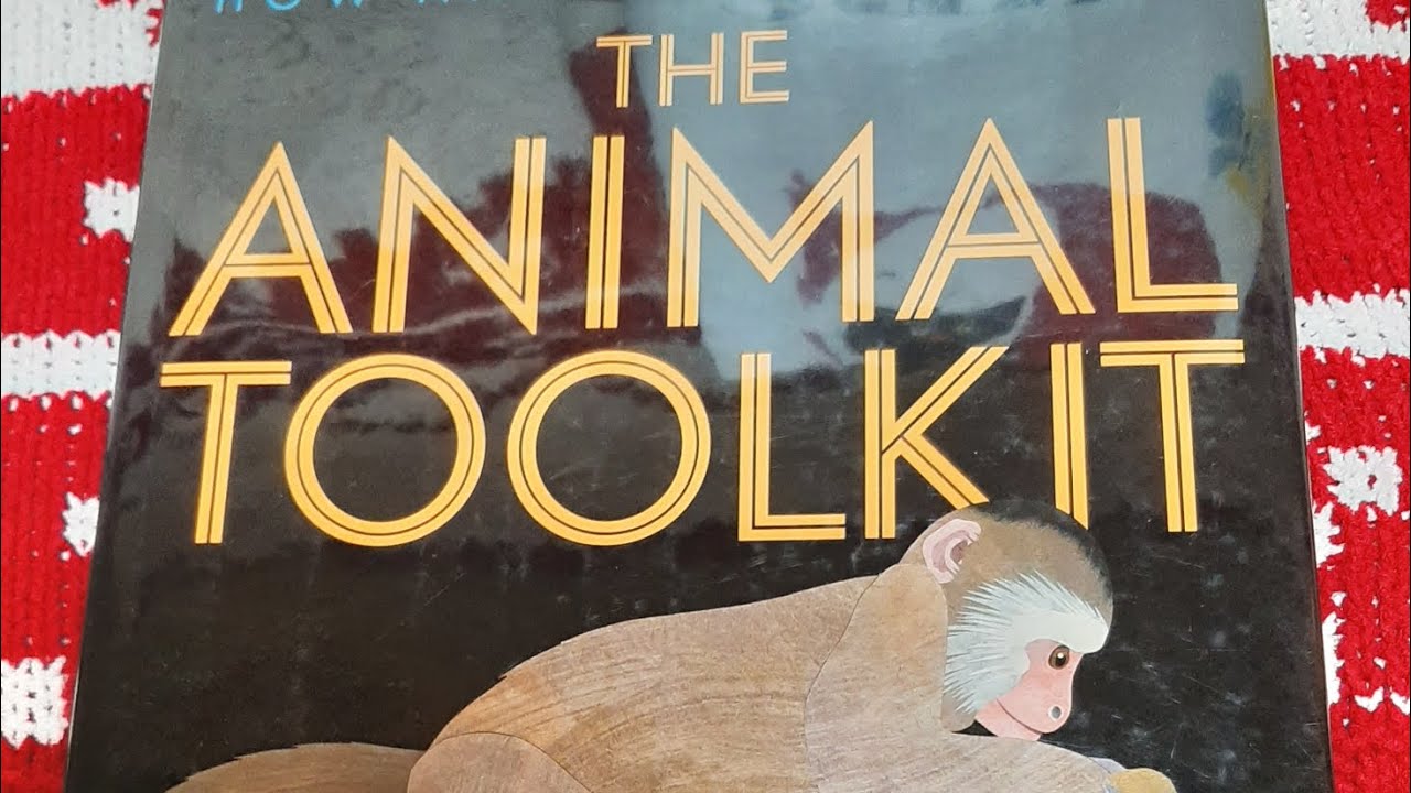 The Animal Toolkit - YouTube