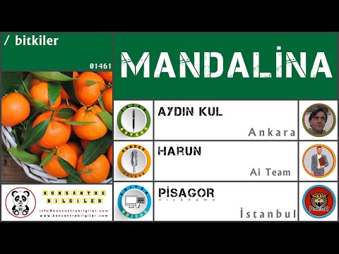 MANDALİNA