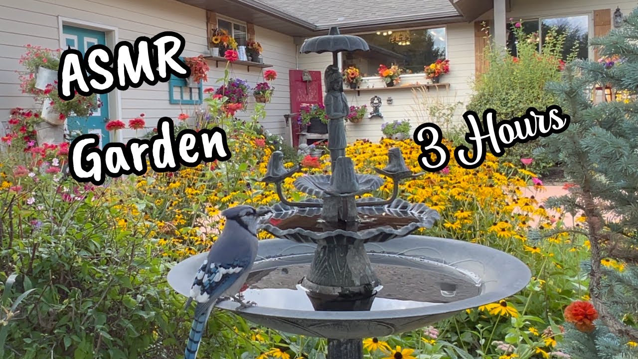 Chaos to Calm: Finding Tranquility in My Garden - YouTube