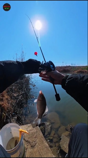 Best fishing techniques video usa I latest match fishing videos usa # ...