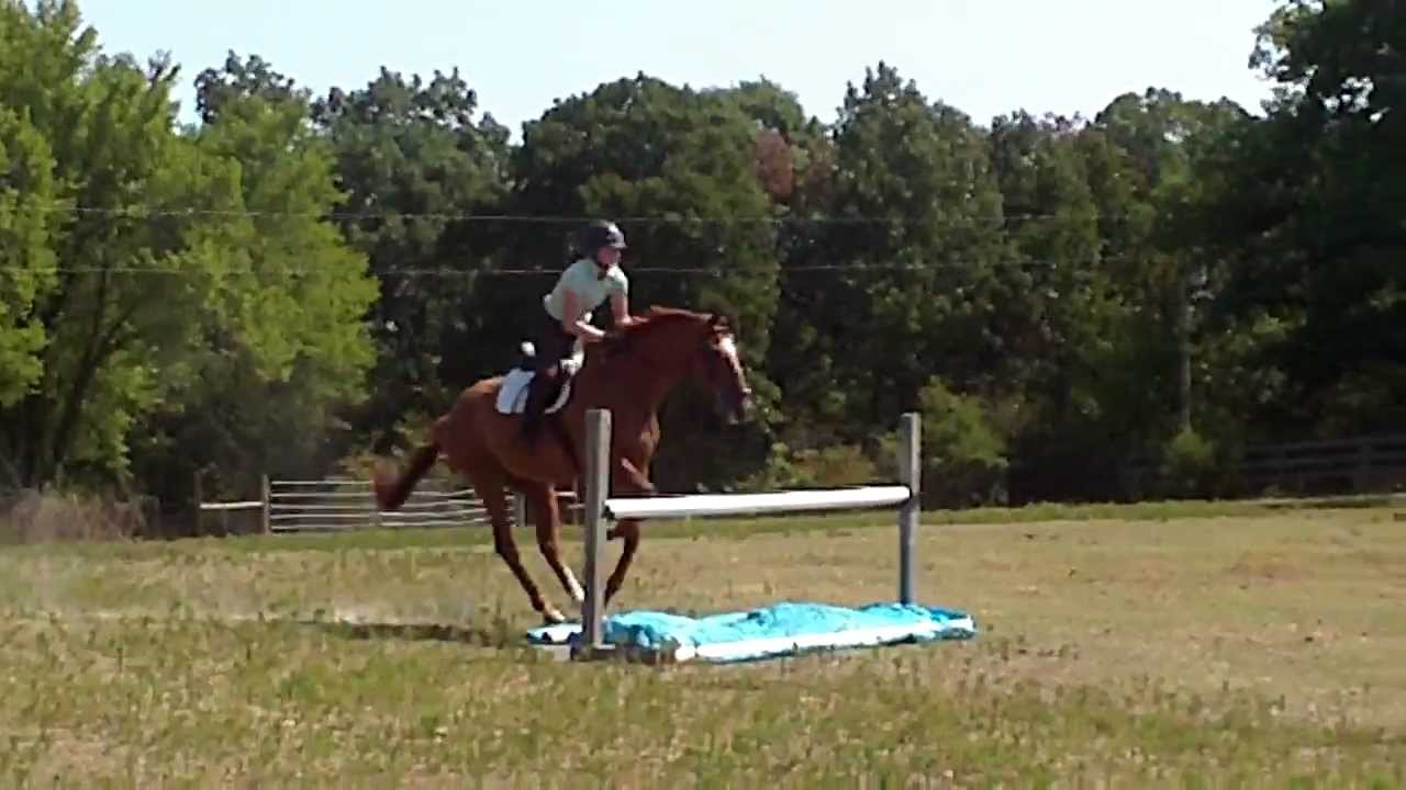 Kitt Jumping at Manuel Farm August 2012 - Tree fence + Liverpool combo ...