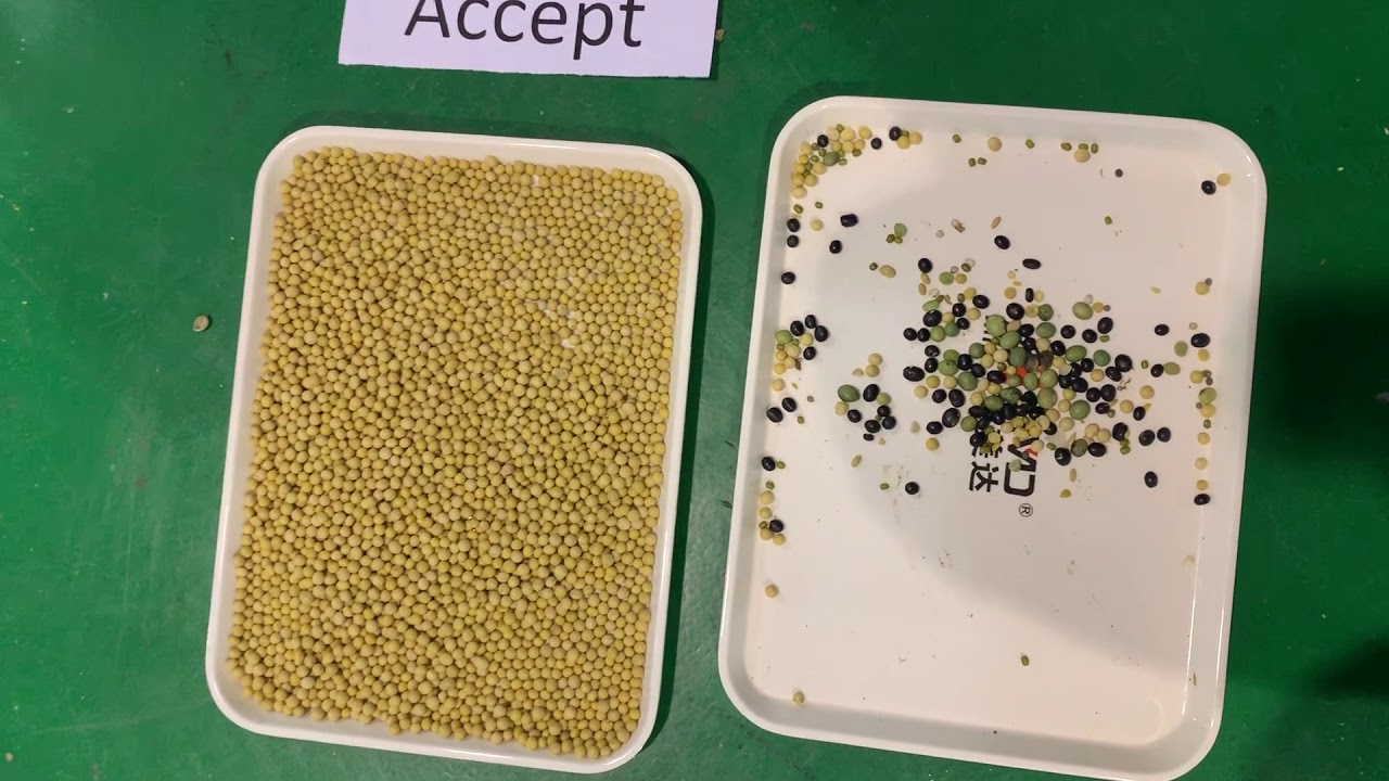 optical sorting machine for beans,AMD color sorter - YouTube