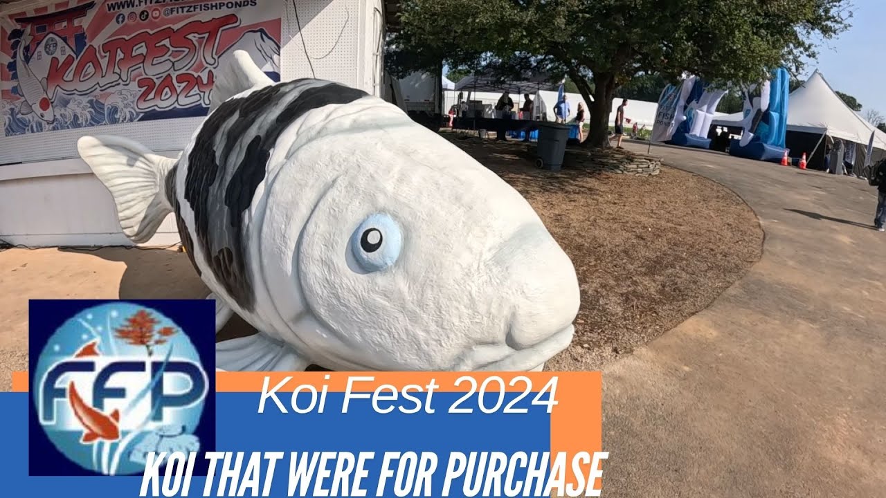 Fitz's Fish Ponds Koi Fest 2024 unedited video - YouTube