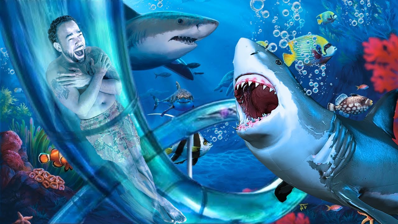 Would You Take a Ride on This Shark Tank Water Slide?! - YouTube