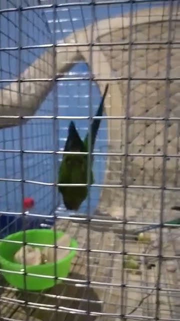 19 July 2025 - YouTube