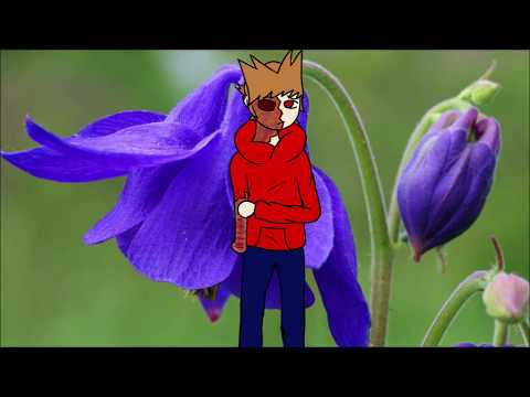 Therefore MEME (🌍Eddsworld🌍) TORD💖