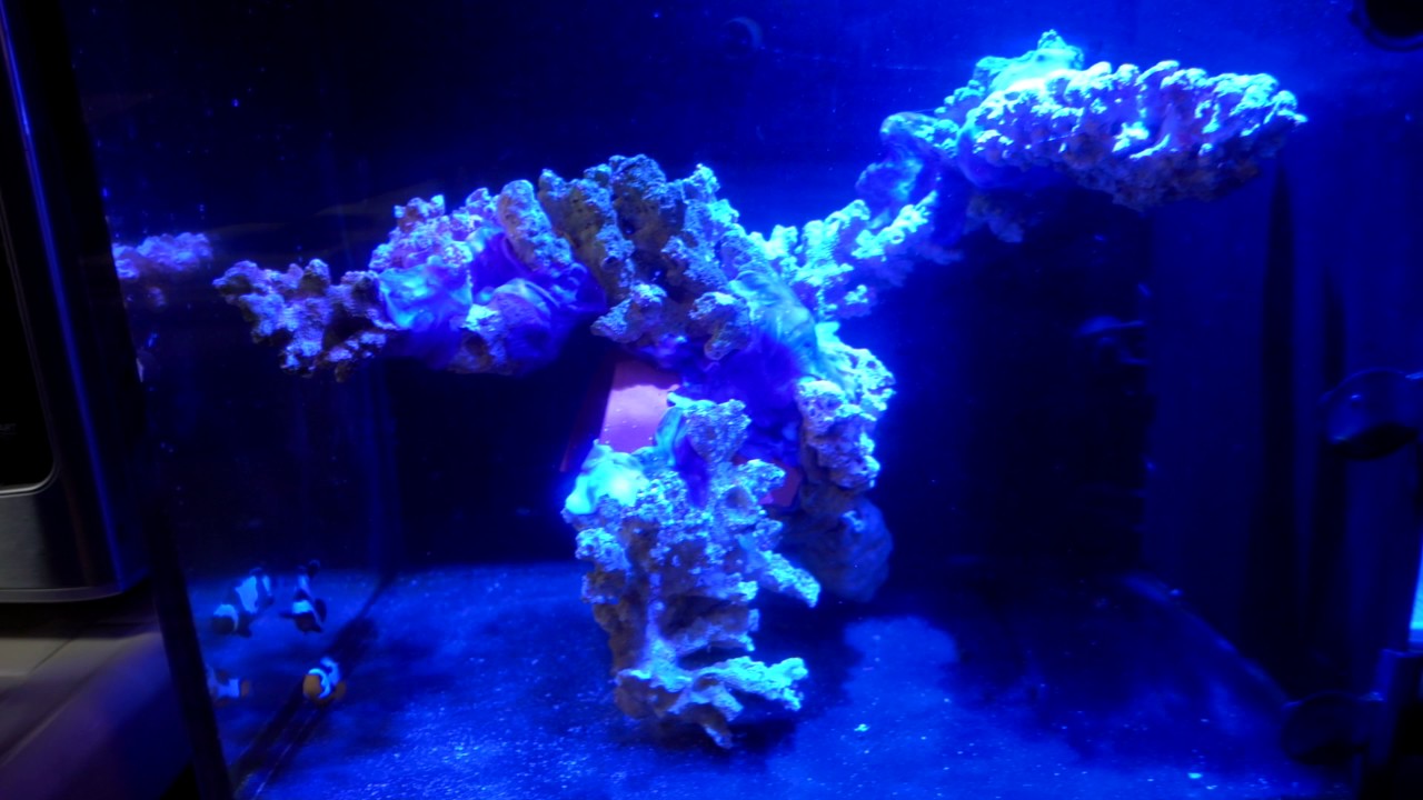 AquaMaxx Reef Welder Plastic Epoxy Glue - YouTube