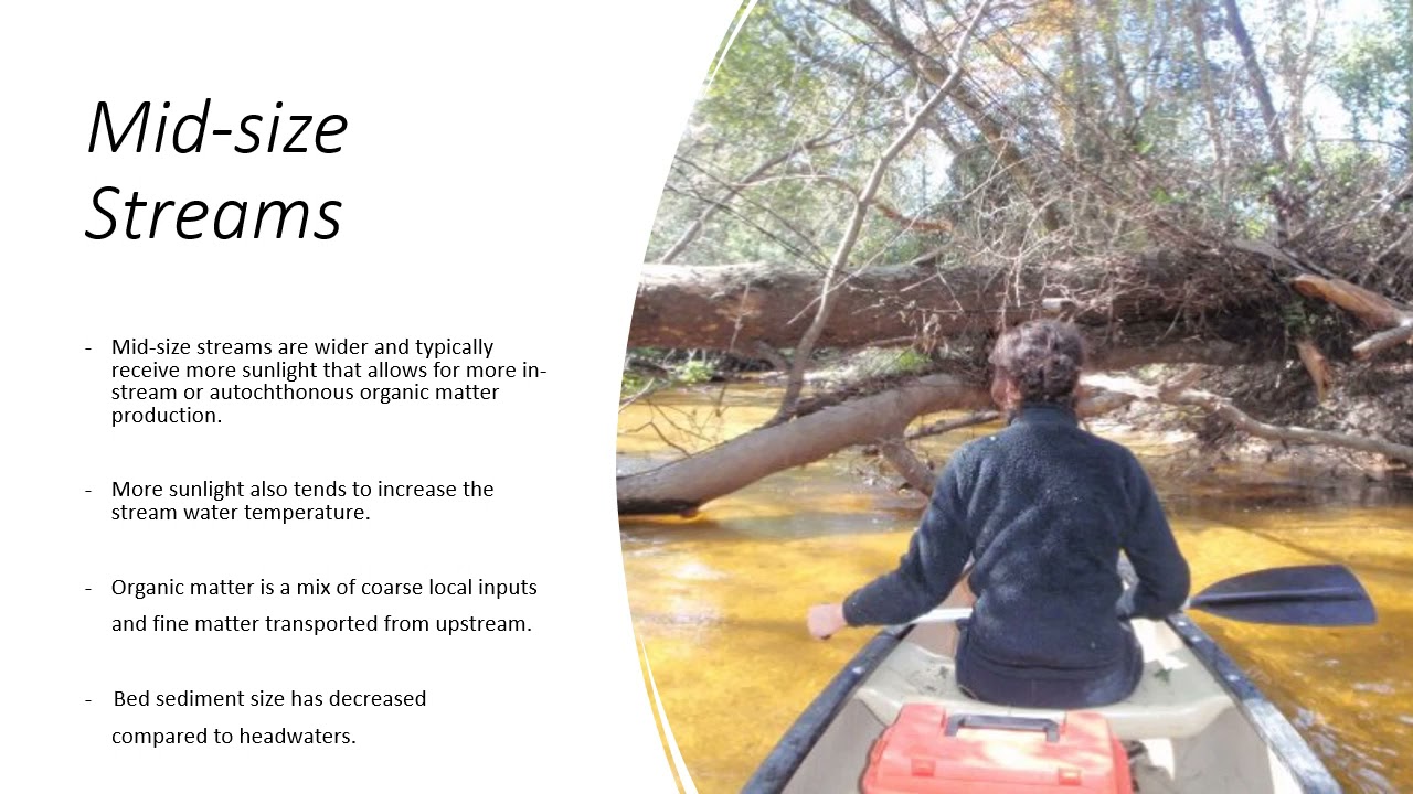 The River Continuum Concept Final - YouTube