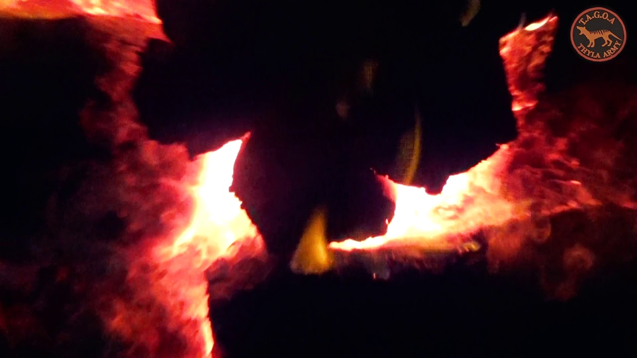 MORE YIPPING FROM N.E. TASMANIA - YouTube