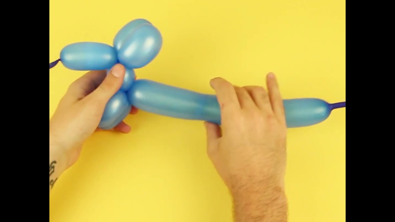 Especificidad campeón Bolsa ballon chien componente aceptable Decano