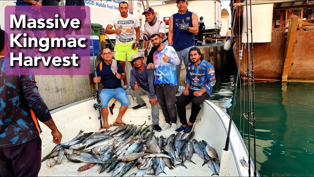 Massive Kingmac Harvest at the Gulf! #fishing #king - YouTube