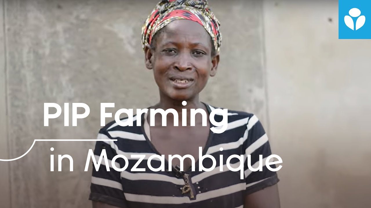 PIP farming in Mozambique | #InclusiveEntrepreneurship - YouTube