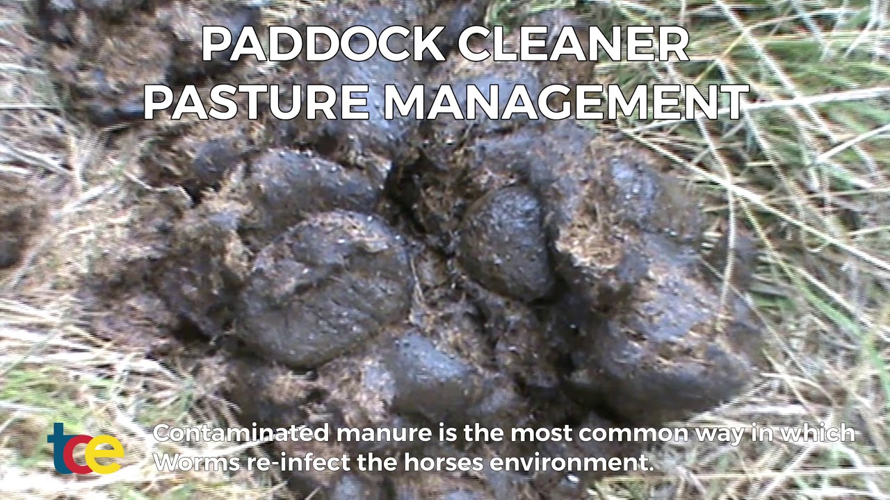 PADDOCK CLEANER Paddock & Pasture Management - YouTube