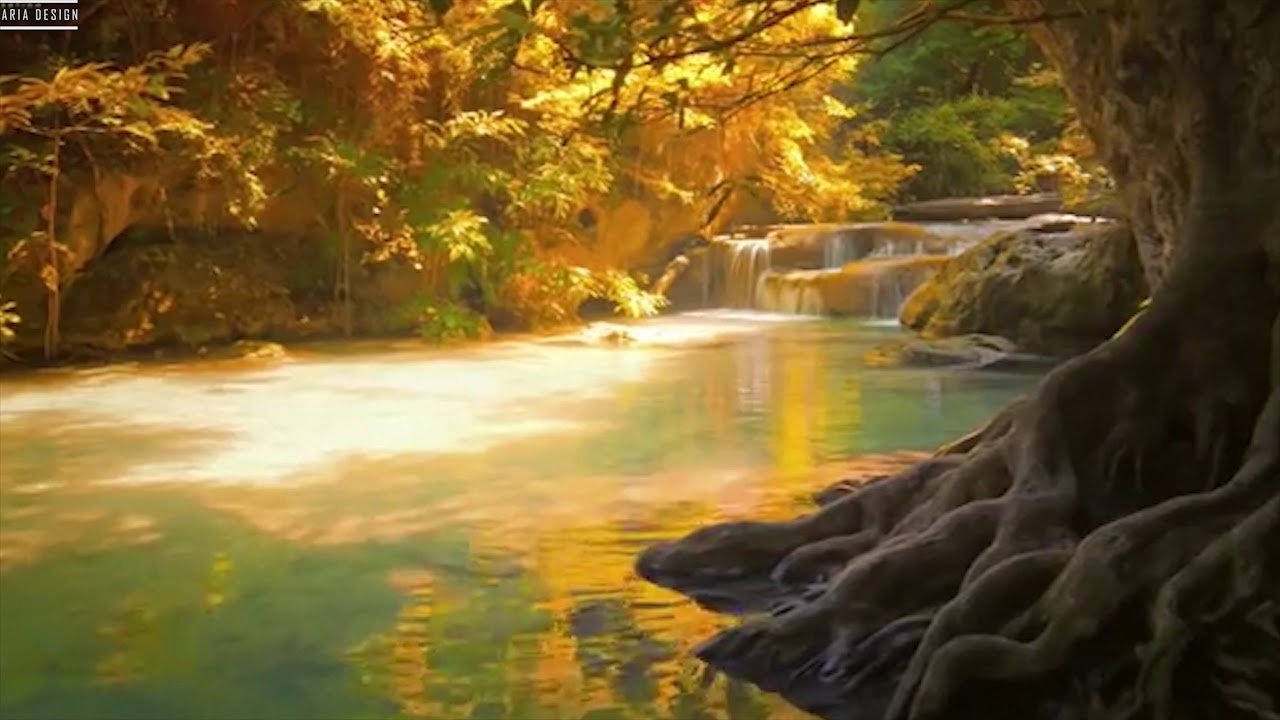 TI I JA - Allen (lyric video) 2019 - YouTube