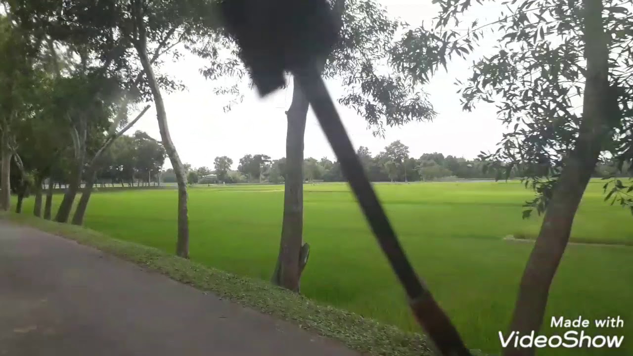 #Natural_View_Sylhet_Moulvibazar_Juri - YouTube