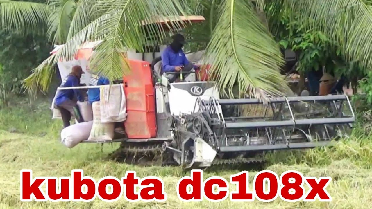 MÁY CẮT LÚA KUBOTA DC 108X PHƯỢT TỐC ĐỘ ĐÔNG XUÂN ĐỒNG NGỌC CHÚC GIỒNG RIỀNG - YouTube