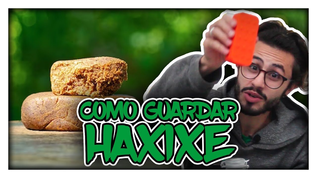 COMO GUARDAR HAXIXE DA FORMA CERTA? - YouTube