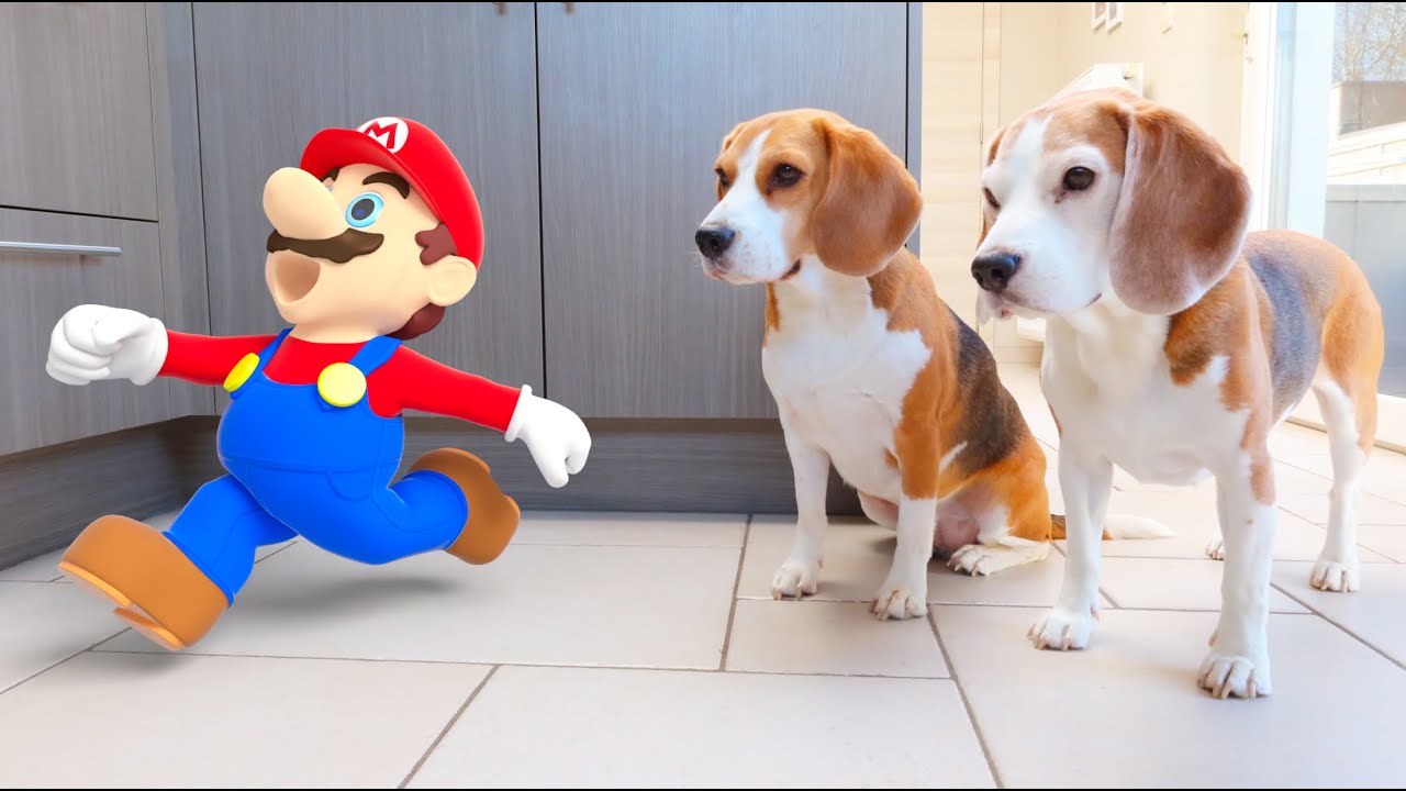 REAL LIFE Mario Animation That Will BLOW Your Mind! - YouTube