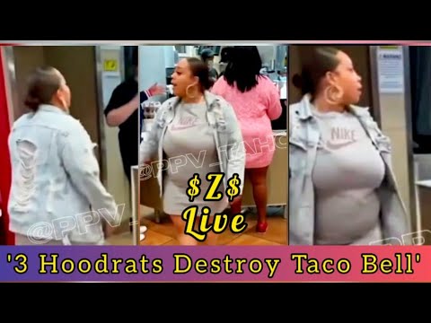 H00DRATS F!GHT & DESTROY TACO BELL [Live Reaction] - YouTube