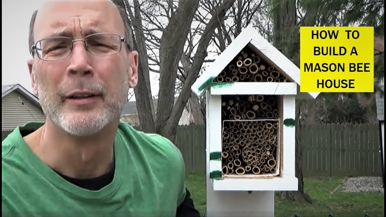 How to Build a Mason Bee House 🐝 Easy DIY for Garden Pollinators! - YouTube