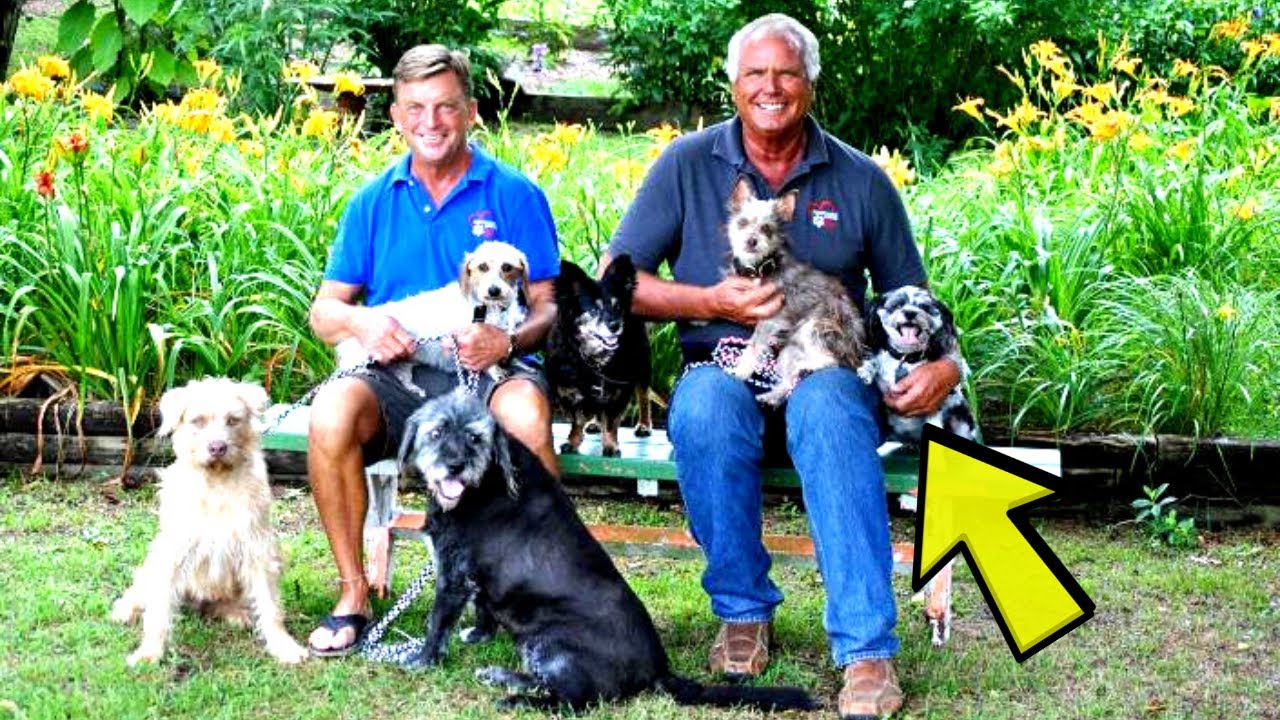 Couple Rescues Over 13,000 Dogs and Gives Pets 'Lifetime Promise' that ...