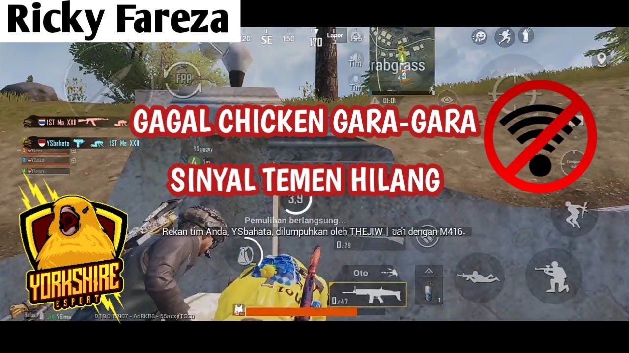 Gagal Chicken Gara-Gara Sinyal Hilang - PUBG MOBILE - YouTube