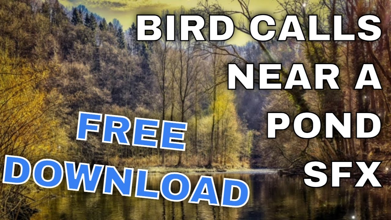 FREE Bird Calls Sound Effect | HD/High Quality | *DOWNLOAD IN ...