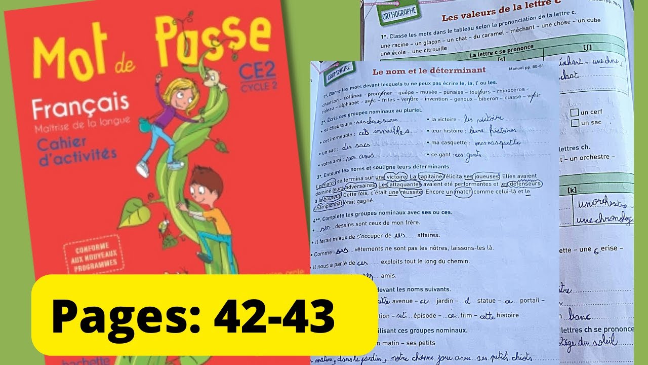 Mot de passe CE2 cahier d'activités pages: 42-43 (réponses) شرح سهل و ...