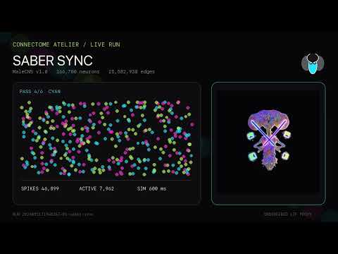 Fruit Fly Designs SABER SYNC | Palette-Locked MaleCNS Run 01