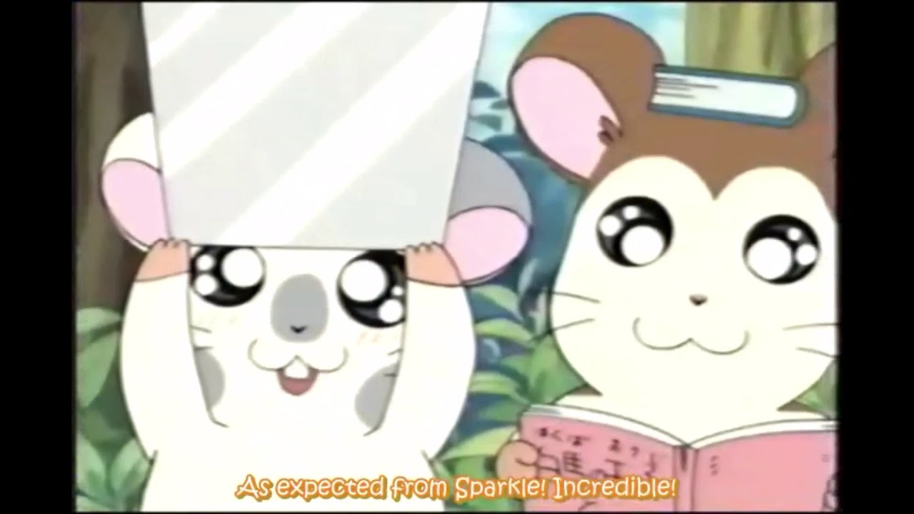 Sparkle’s Musical Film - YouTube