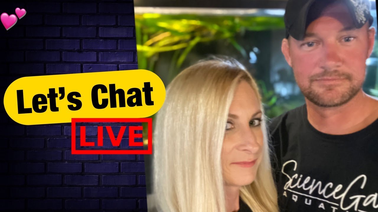 Let's Have A Fish Chat! - YouTube