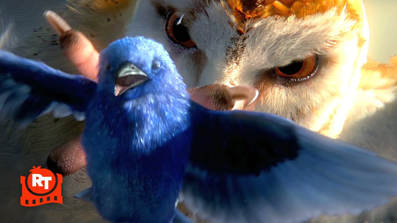 Legend of the Guardians - Cool Bluebird Chase! - YouTube