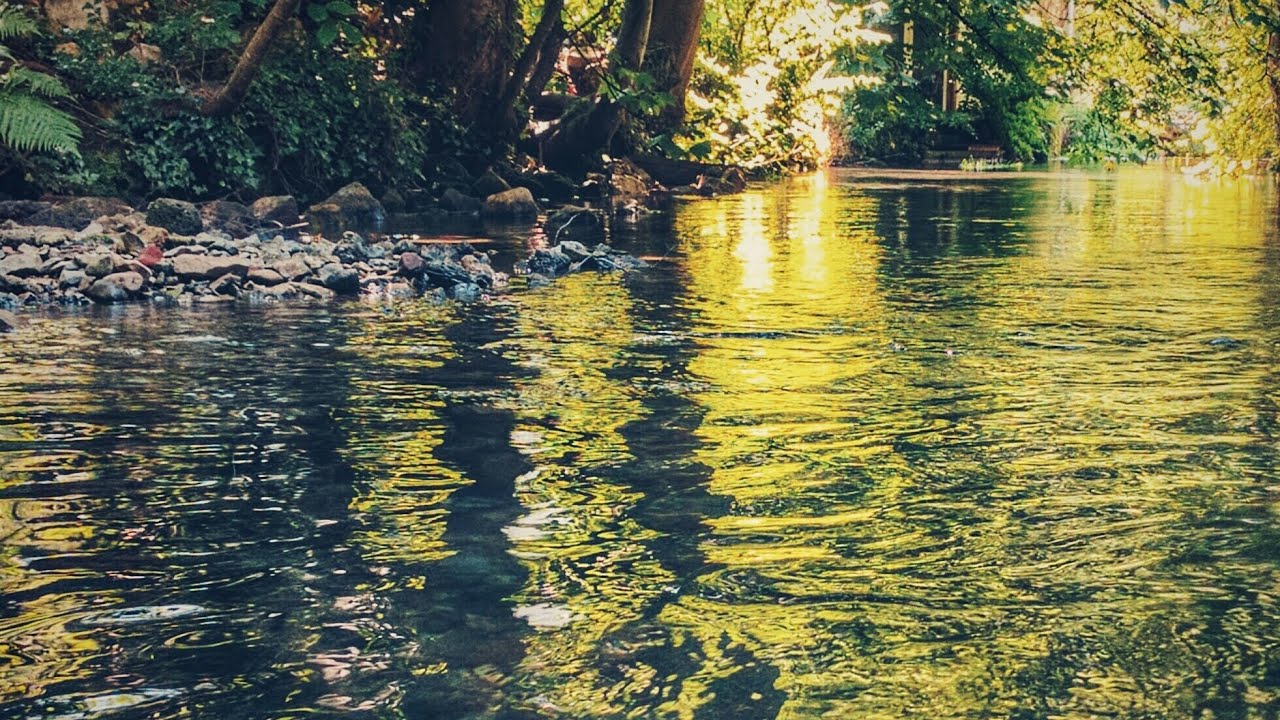 NATURE / SLOW MOTION - YouTube