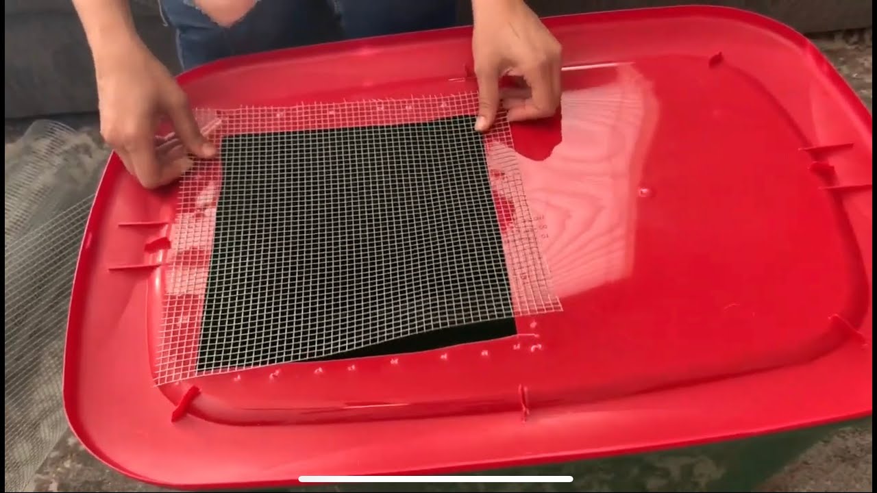 DIY Inexpensive and EASY Quail Brooder - YouTube