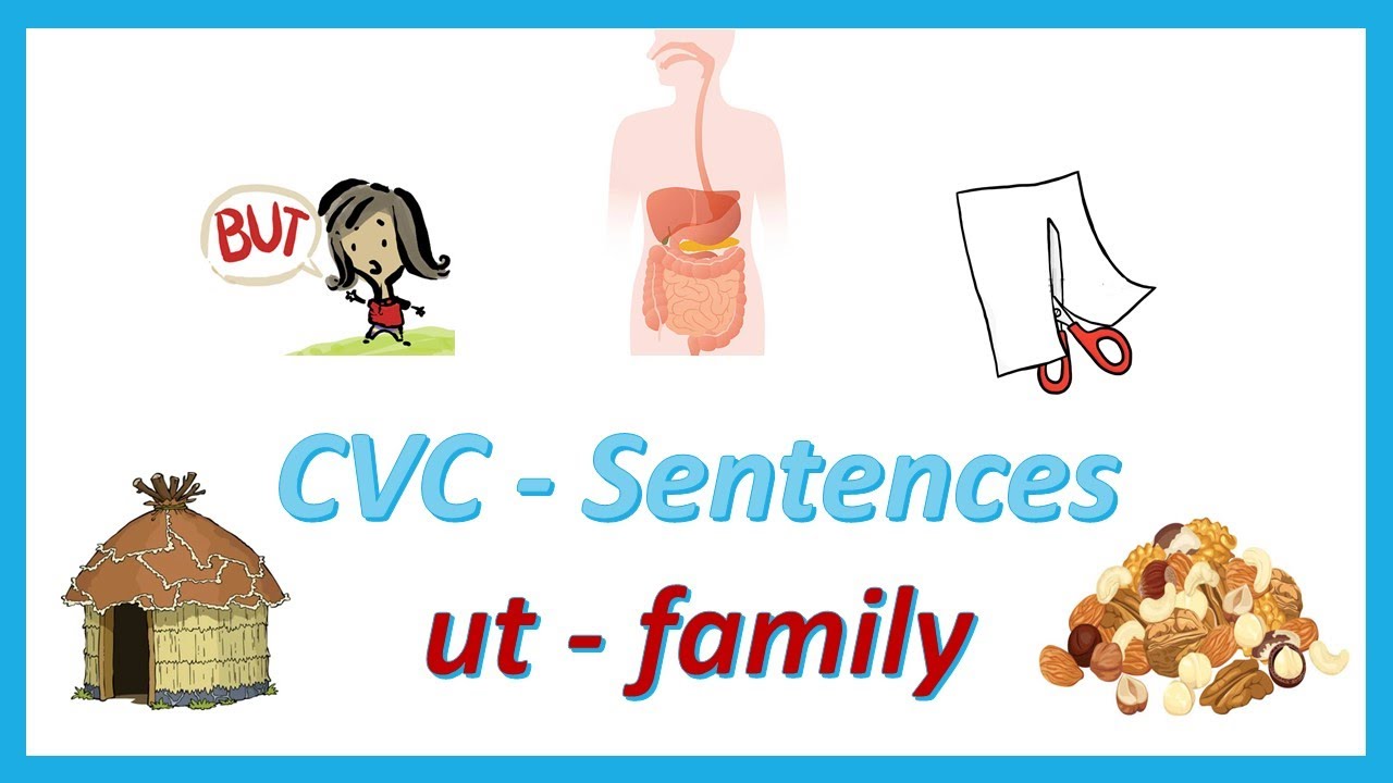Phonics : CVC Sentences - ut Family - 10 Sentences in 3 Minutes - YouTube